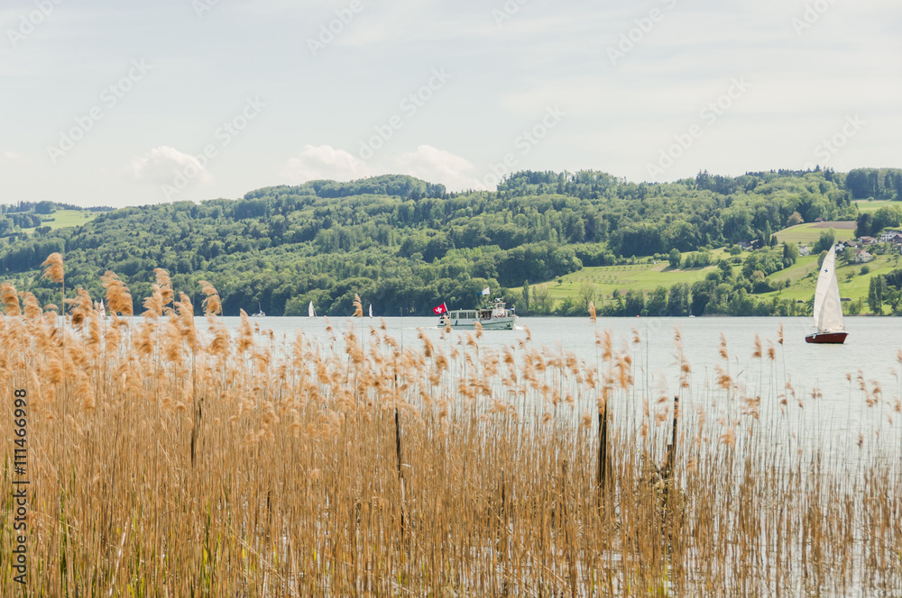 Beinwil, Dorf, Hallwilersee, See, Seeufer, Seerundfahrt, Wassersport ...