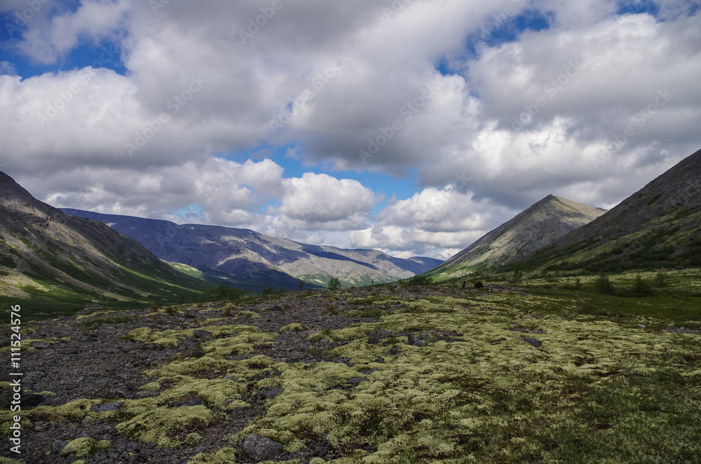 Mountain tundra with mosses and rocks covered with lichens, Hibiny ...