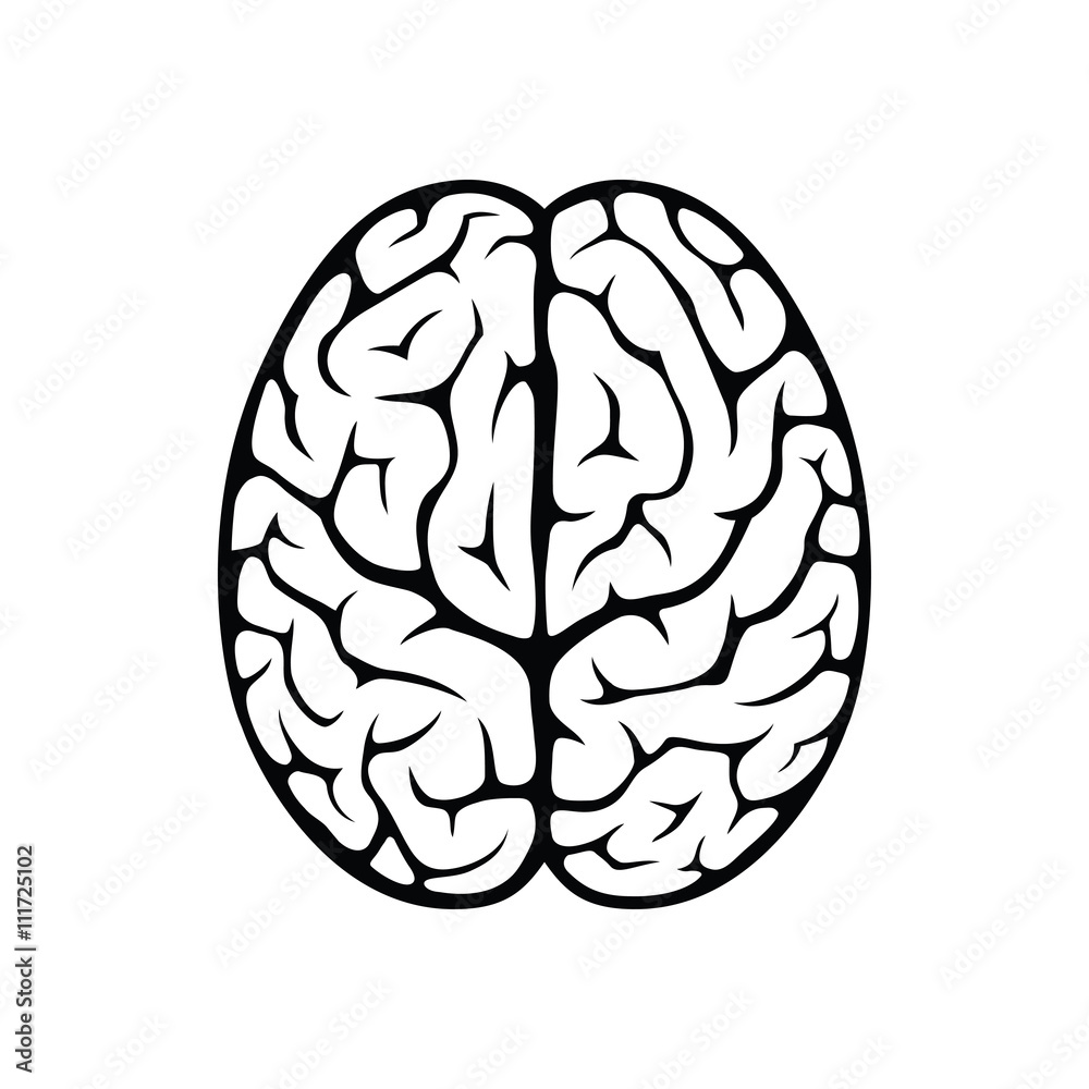 Brain top view Stock Vector | Adobe Stock