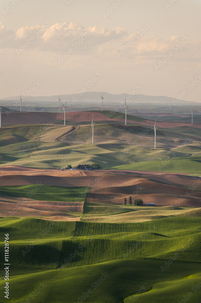 Palouse Wind Turbines. The 40-acre, 58-turbine wind farm, named Palouse ...