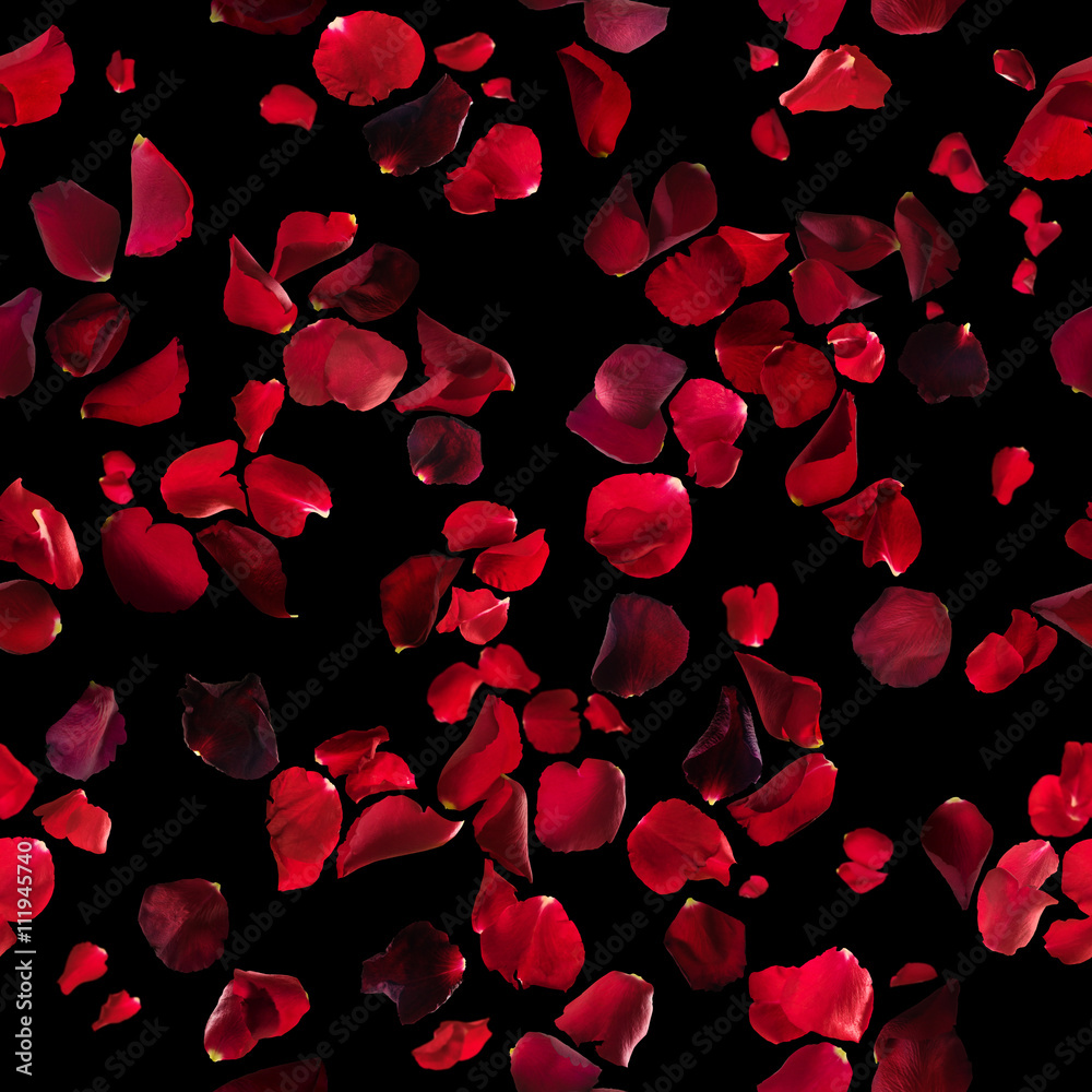 Seamless rose petals pattern in different dark red tones, studio ...