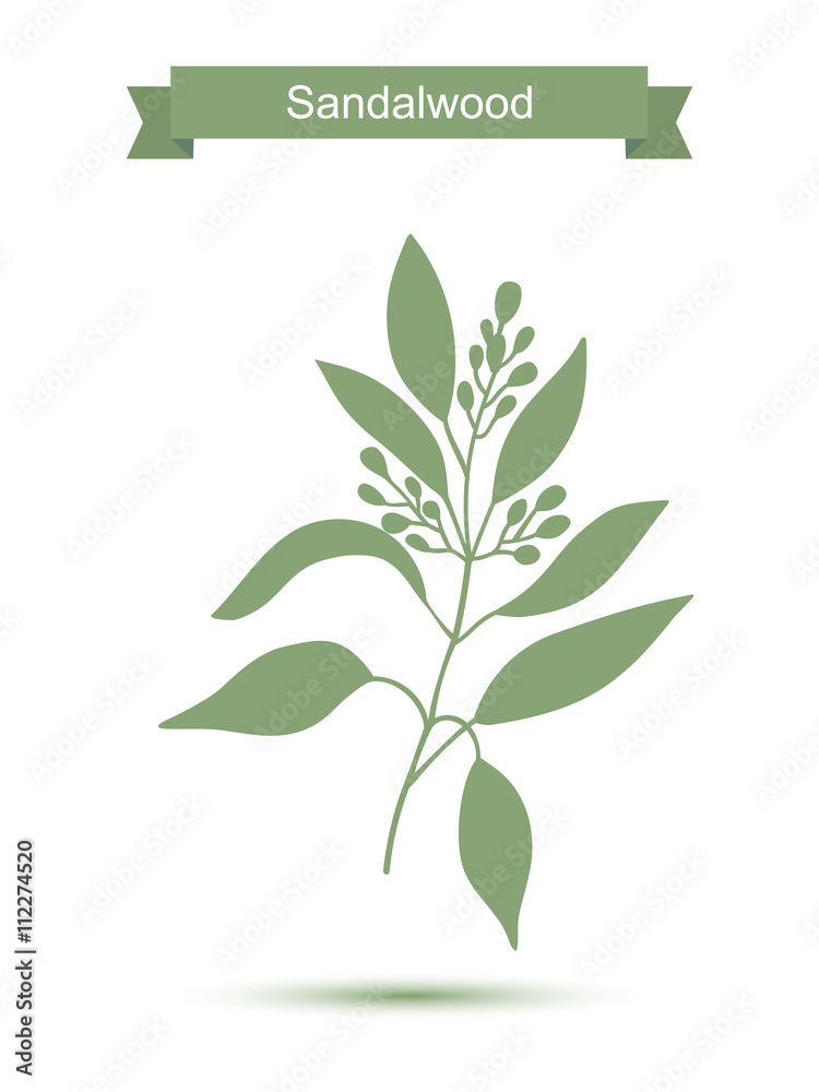 Sandalwood tree branch with flowers silhouette Stock Vector | Adobe Stock