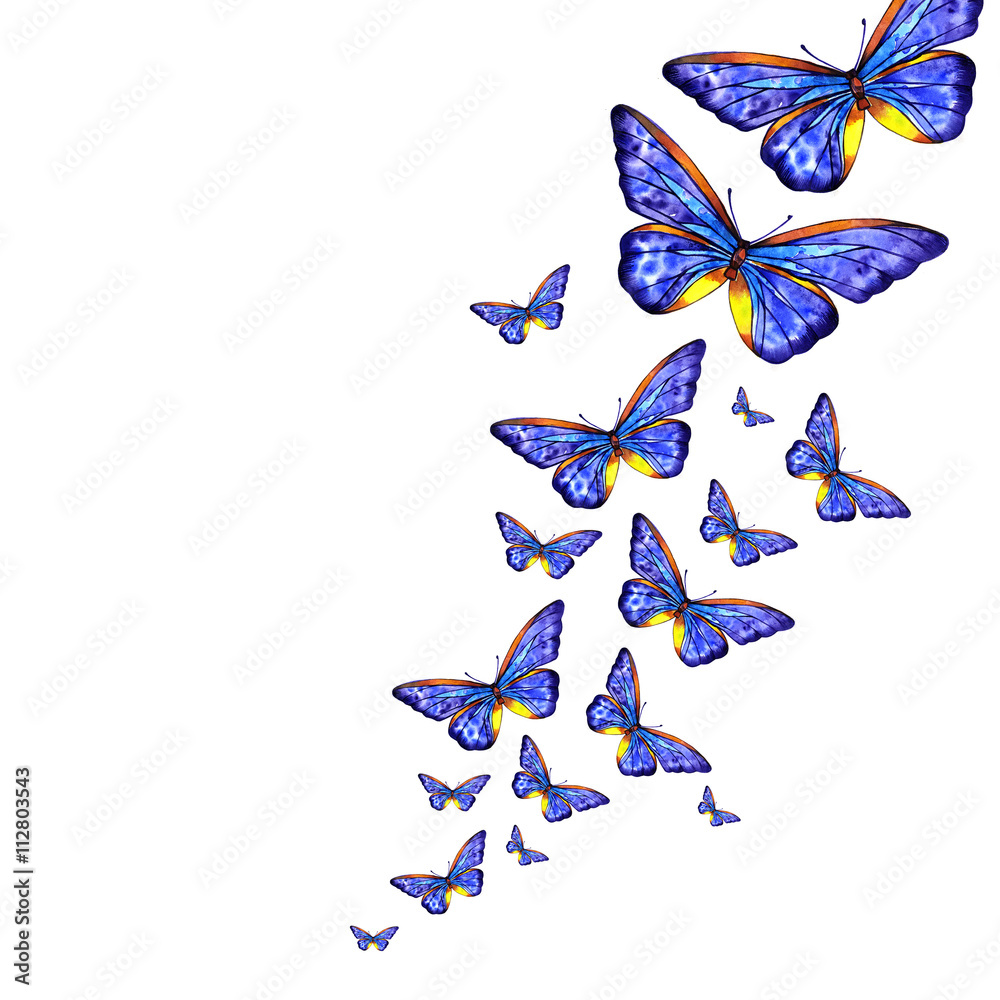 watercolor flying blue butterflies on white background Stock ...
