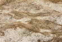 Imprints In Muddy Sludge Free Stock Photo - Public Domain Pictures