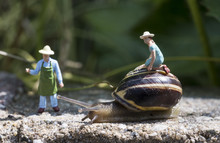 Snail Man Free Stock Photo - Public Domain Pictures