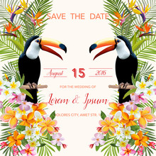 Toucan Vintage Floral Postcard Free Stock Photo - Public Domain Pictures