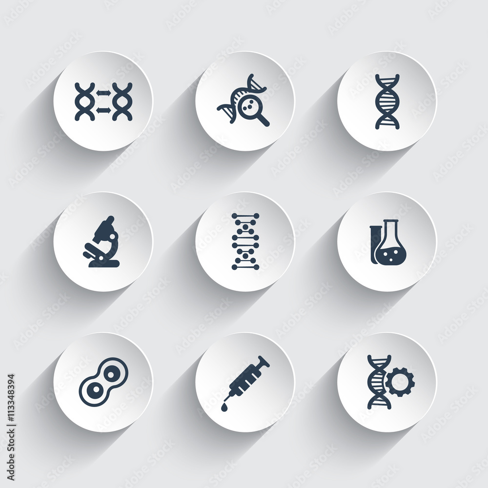 genetics icons, dna chain vector sign, genetic modification, dna ...