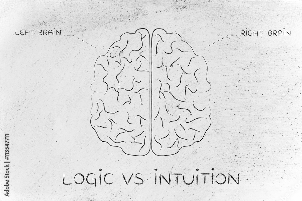 left and right brain illustration, caption logic vs intuition Stock Photo | Adobe Stock