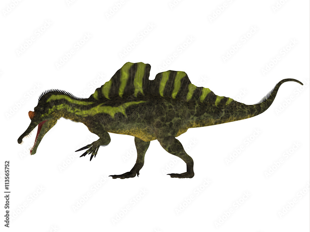 Ichthyovenator Side Profile - Ichthyovenator was a theropod spinosaur ...