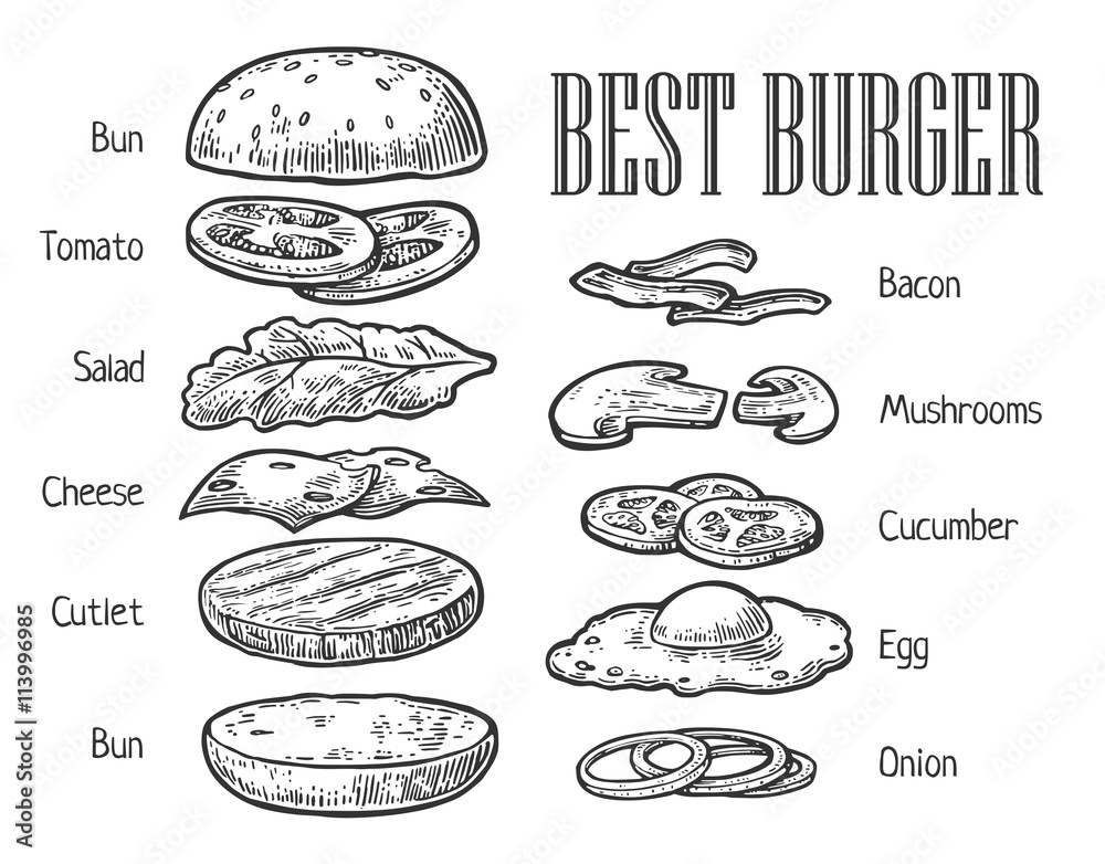 Burger ingredients. Vector vintage engraving illustration for poster ...