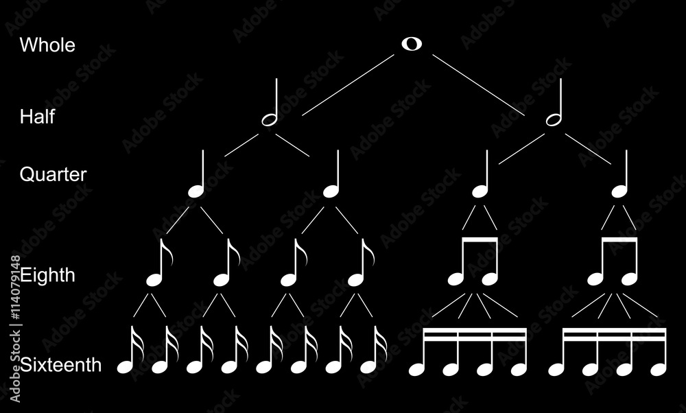 Types of musical notes Stock Vector | Adobe Stock
