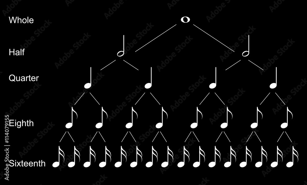 Types of musical notes Stock Vector | Adobe Stock