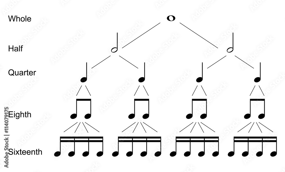 Types of musical notes Stock Vector | Adobe Stock