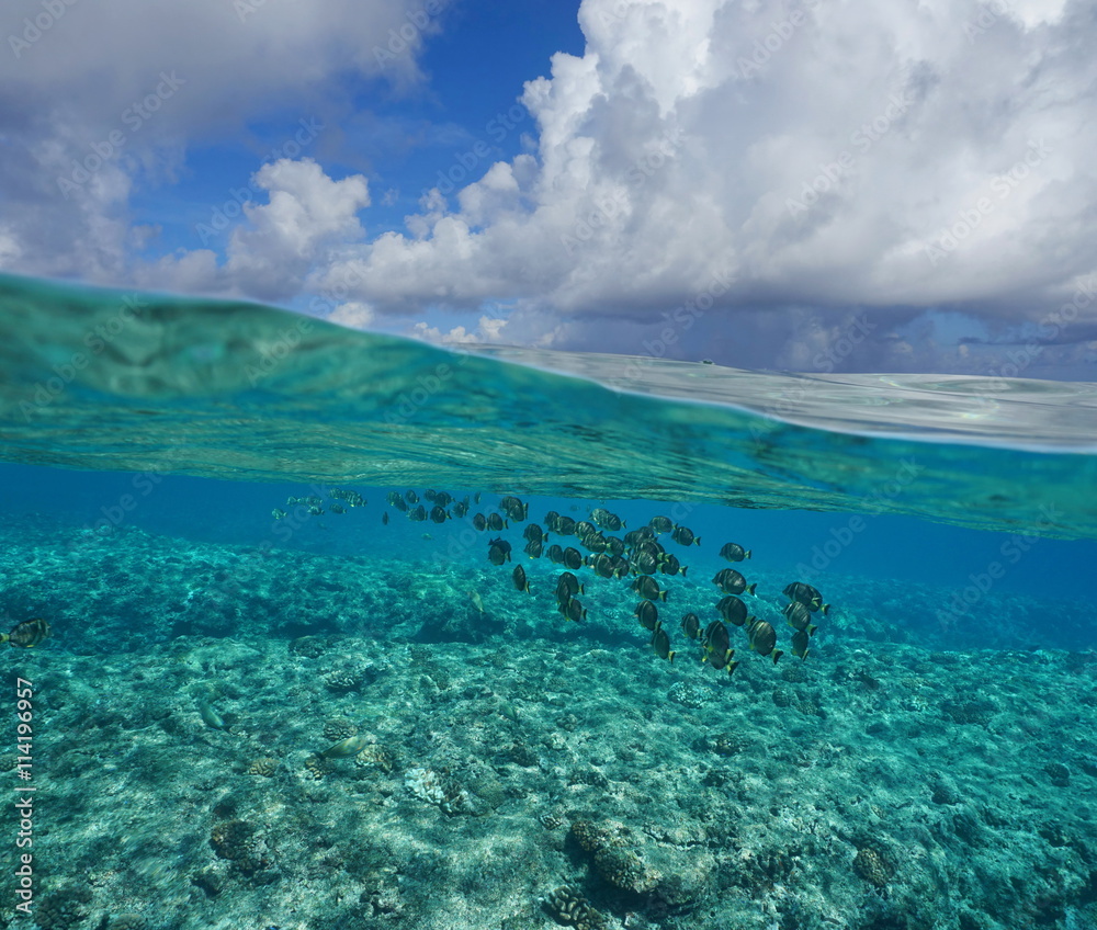 Pacific ocean seascape, above and below water surface, sky with cloud ...