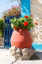 Plant In A Pot In Greece Free Stock Photo - Public Domain Pictures