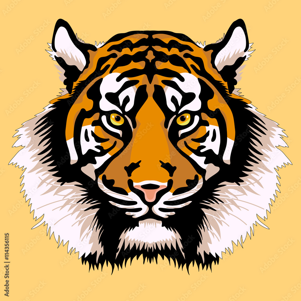 adult tiger head face realistic Stock Vector | Adobe Stock
