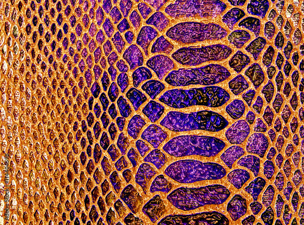 Snake skin background Stock Photo | Adobe Stock