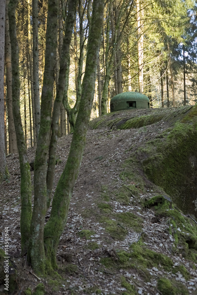 French bunker ruin near Langensoultzbach, Vosges, France. It was built ...