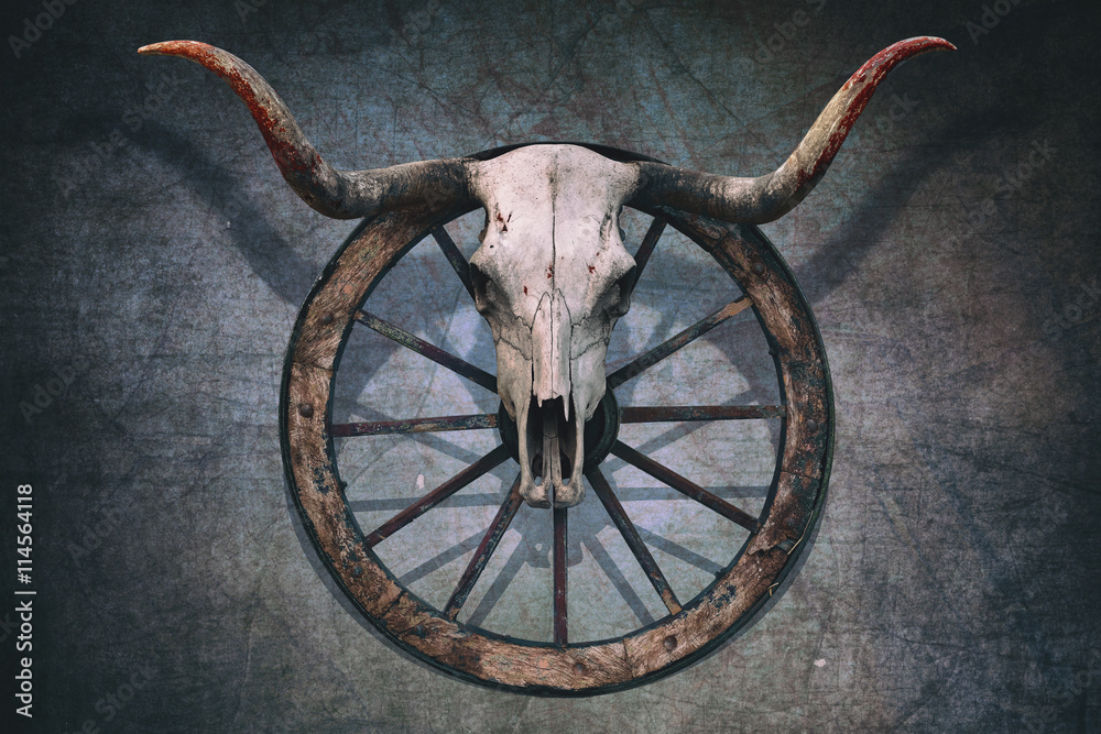 Photo Stock Bloody Bull Skull | Adobe Stock