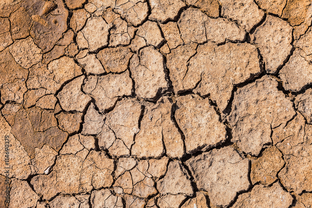 cracked broken ground texture Stock Photo | Adobe Stock