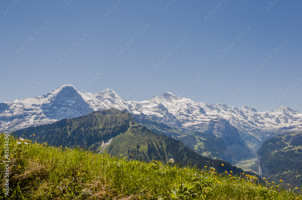 Interlaken, Berner Oberland, Alpen, Schynige Platte, Eiger, Mönch, Jungfrau, First, Wanderweg ...