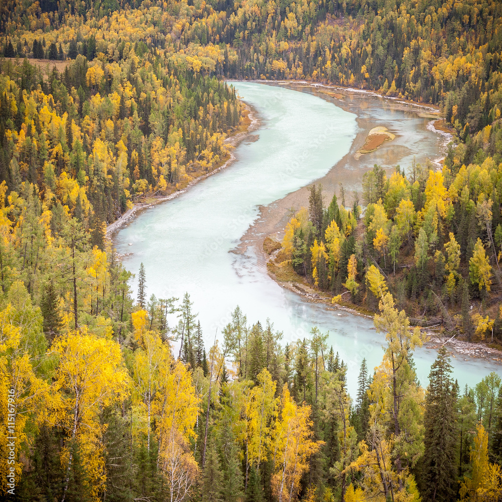 Moon Bay of Kanas Lake. The curved river with crystal blue water. Green ...