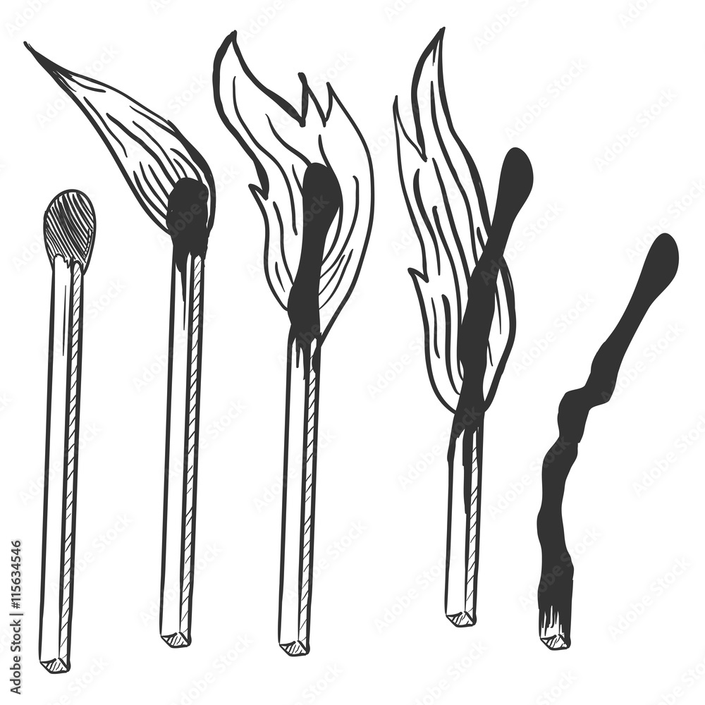 Vector Set of Burning Matches. Different Stages of Combustion Stock ...