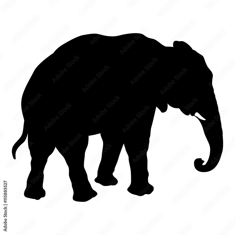 adult male elephant vector illustration black silhouette Stock Vector ...