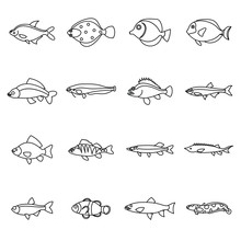 Fish Outlines Free Stock Photo - Public Domain Pictures