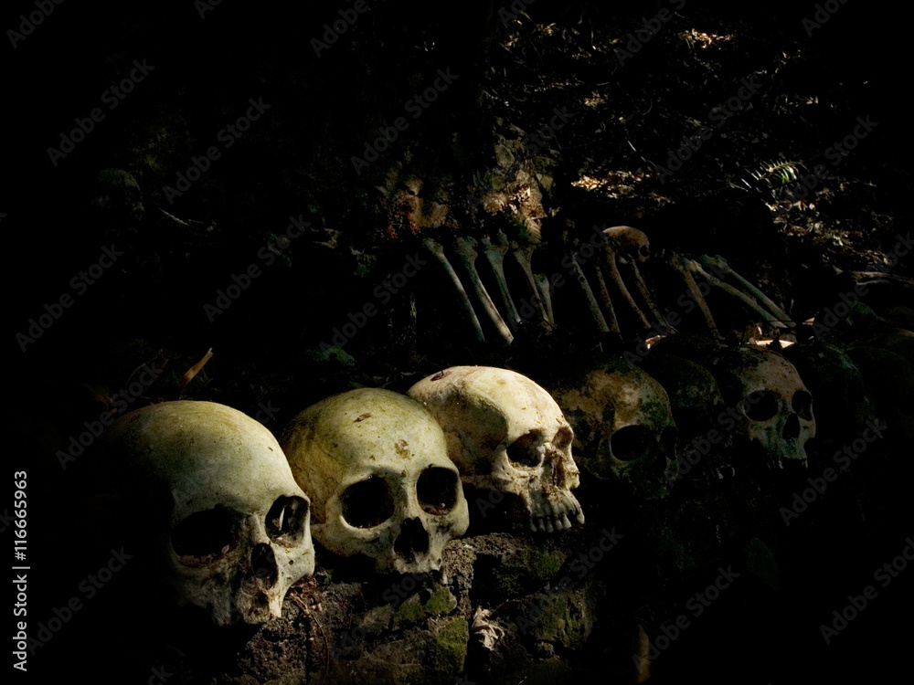 Human skulls and femurs are left to decompose naturally in an open-air ...
