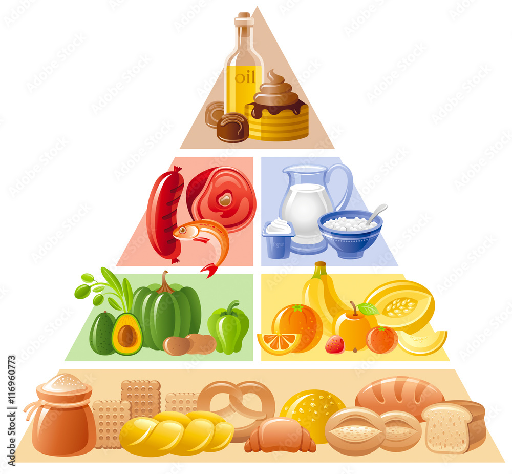 Vector illustration of food guide pyramid infographics with four levels ...