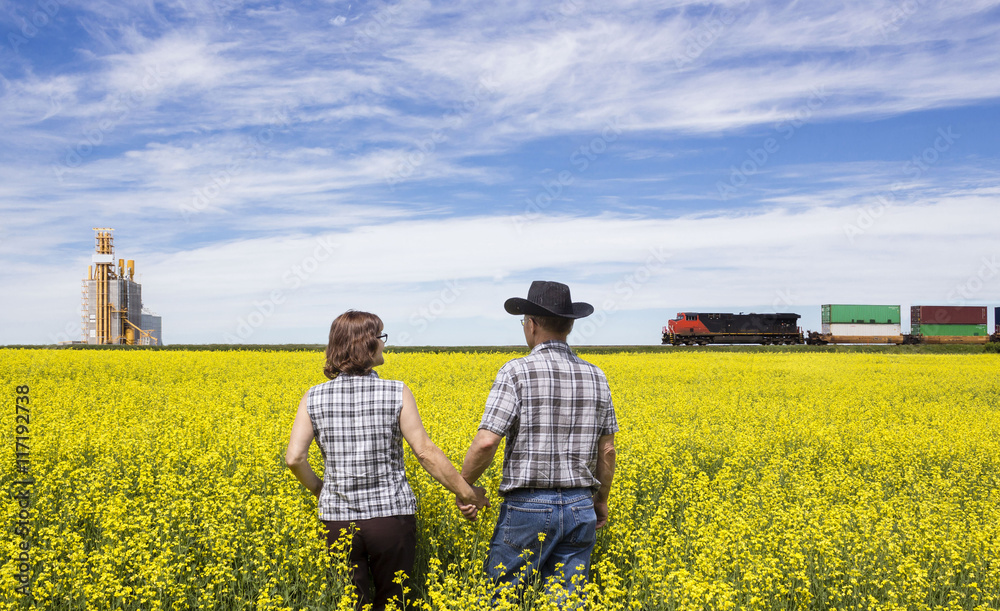 Foto de Stock horizontal image of a husband and wife checking canola ...
