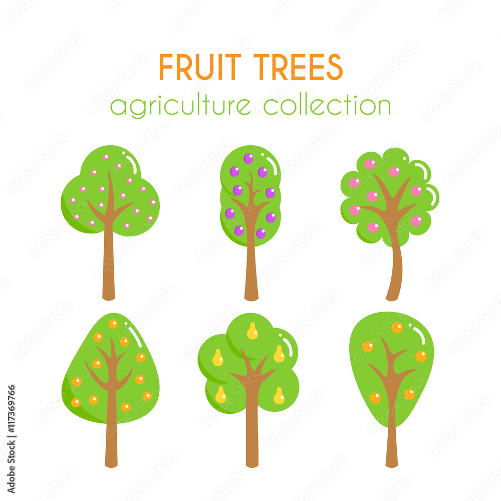 Vector fruit trees illustration. Apple tree. Growth of fruits. Plum and ...