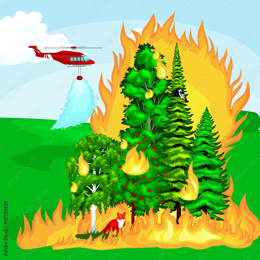 Forest Fire, fire in forest landscape damage, nature ecology disaster ...