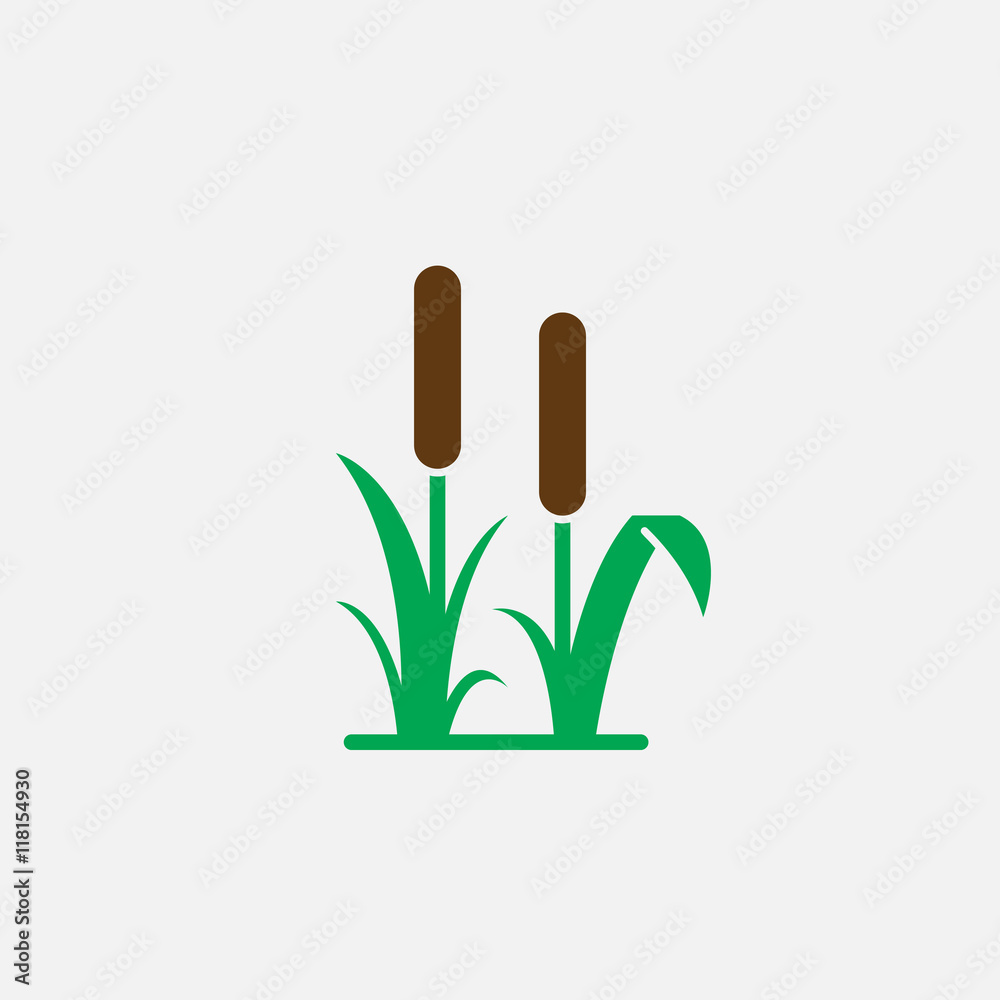 reed icon vector, solid logo illustration, colorful pictogram isolated ...