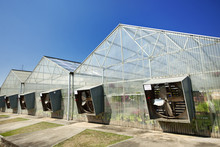 Greenhouse Barn Free Stock Photo - Public Domain Pictures