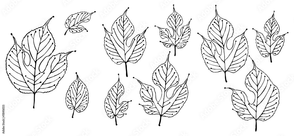 Stylized mulberry leaves outline drawing vector art illustration Stock ...
