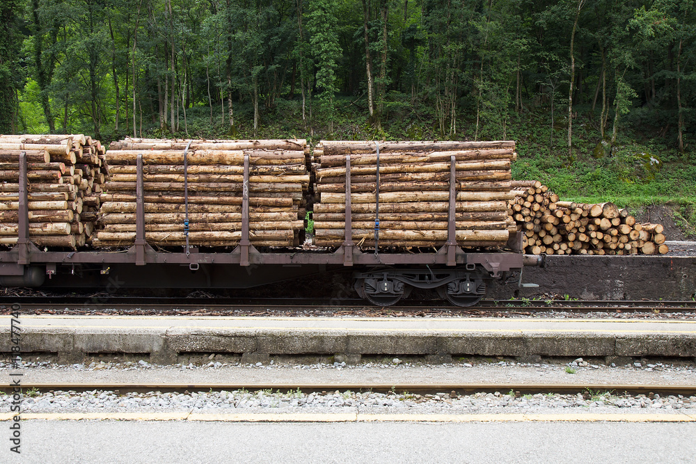 Logs on Freight train - Transportation Stock Photo | Adobe Stock