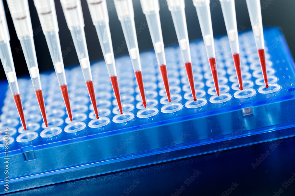 96 Well plate and multi pipette Stock Photo | Adobe Stock