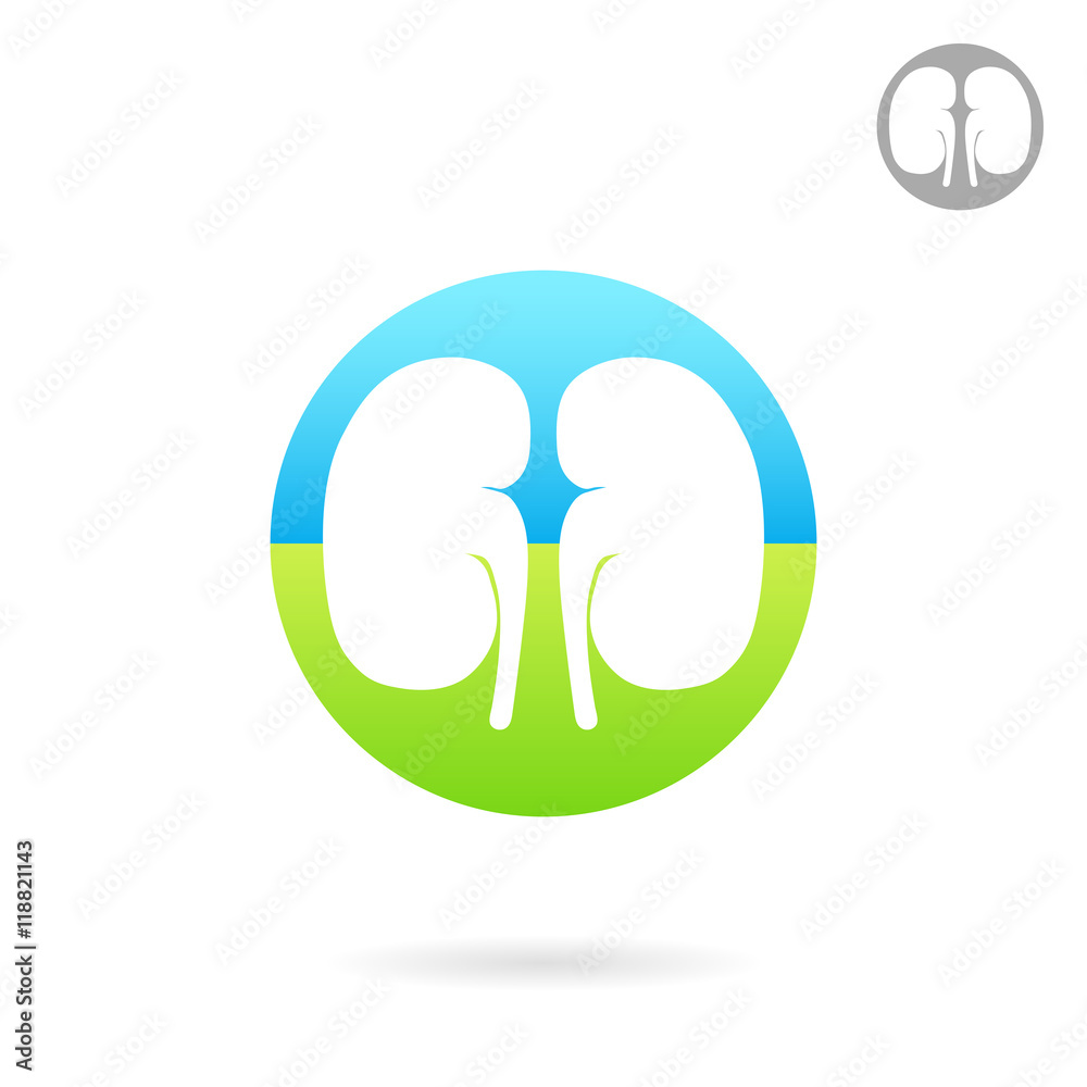 Kidney medical icon Stock Vector | Adobe Stock