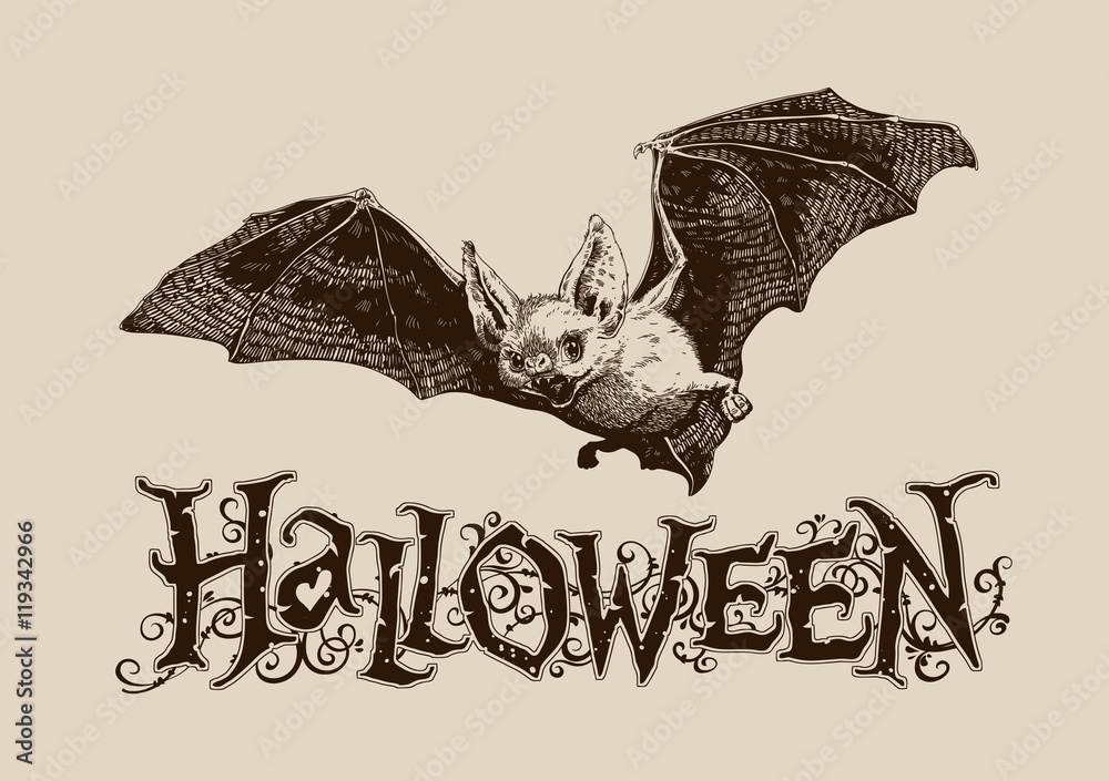 Vintage halloween bat horizontal poster, banner, header, mail ...