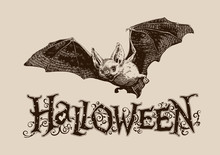 Vintage Halloween Bat Free Stock Photo - Public Domain Pictures