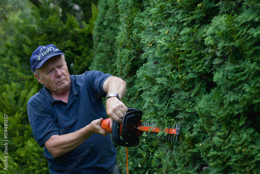 Old man trimming hedge with electric garden scissors, focus on hands ...