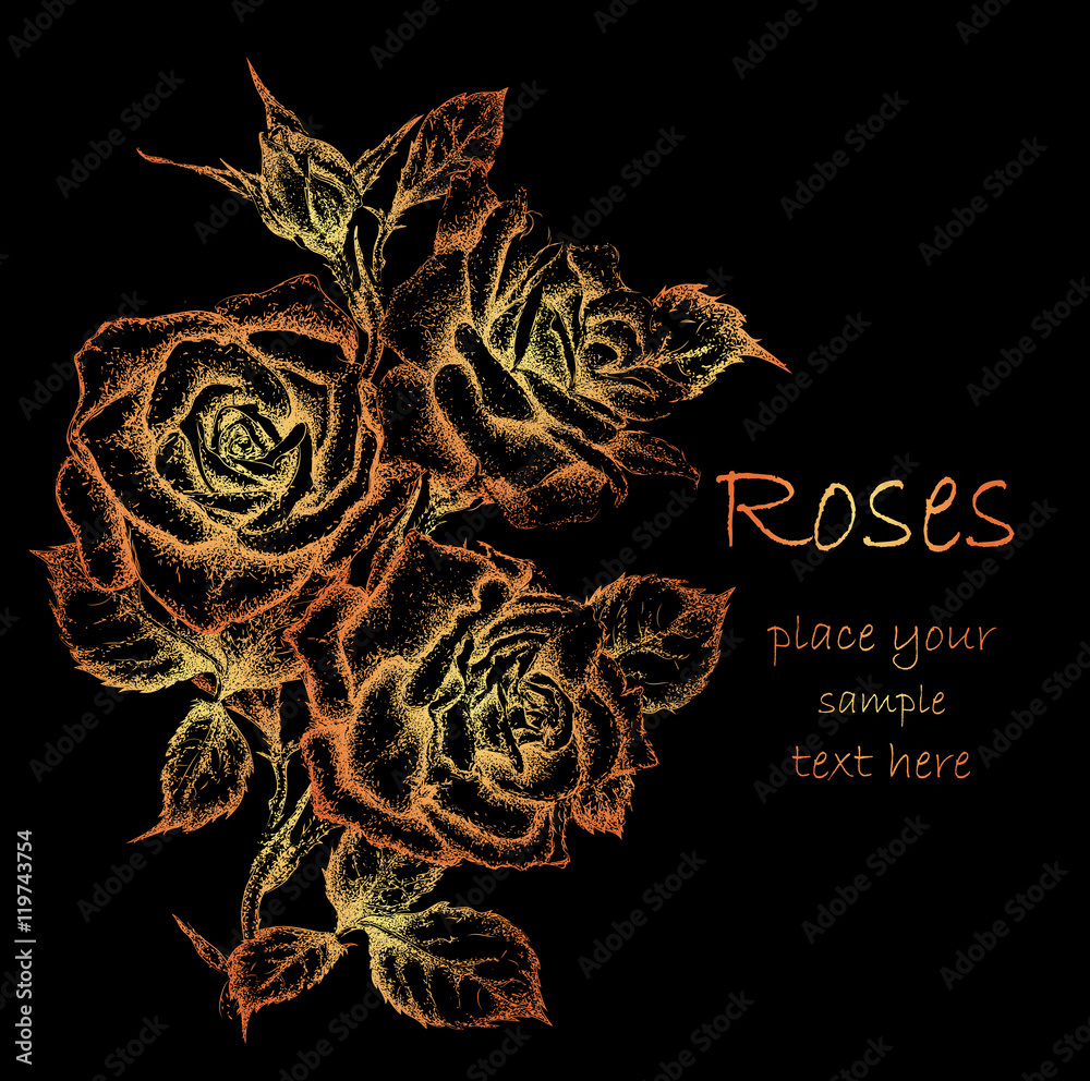 Hand draw vintage rose. Vector illustration Stock Vector | Adobe Stock