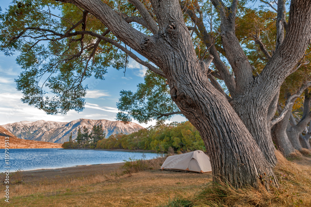 Campsite at Lake Pearson / Moana Rua Wildlife Refuge located in ...