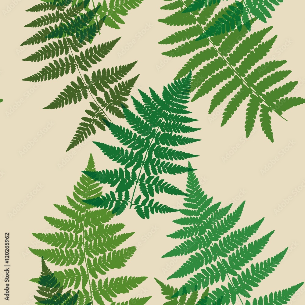 Seamless pattern of fern leaves. Vector. Stock Vector | Adobe Stock