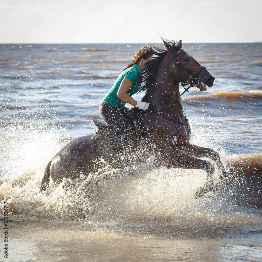 Pretty girl riding horse in river water Stock Photo | Adobe Stock