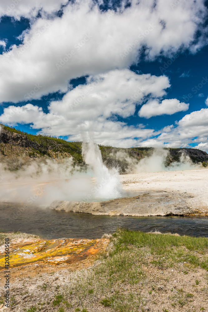 Geyser spurting water near Firehole river at Grand Prismatic spring ...