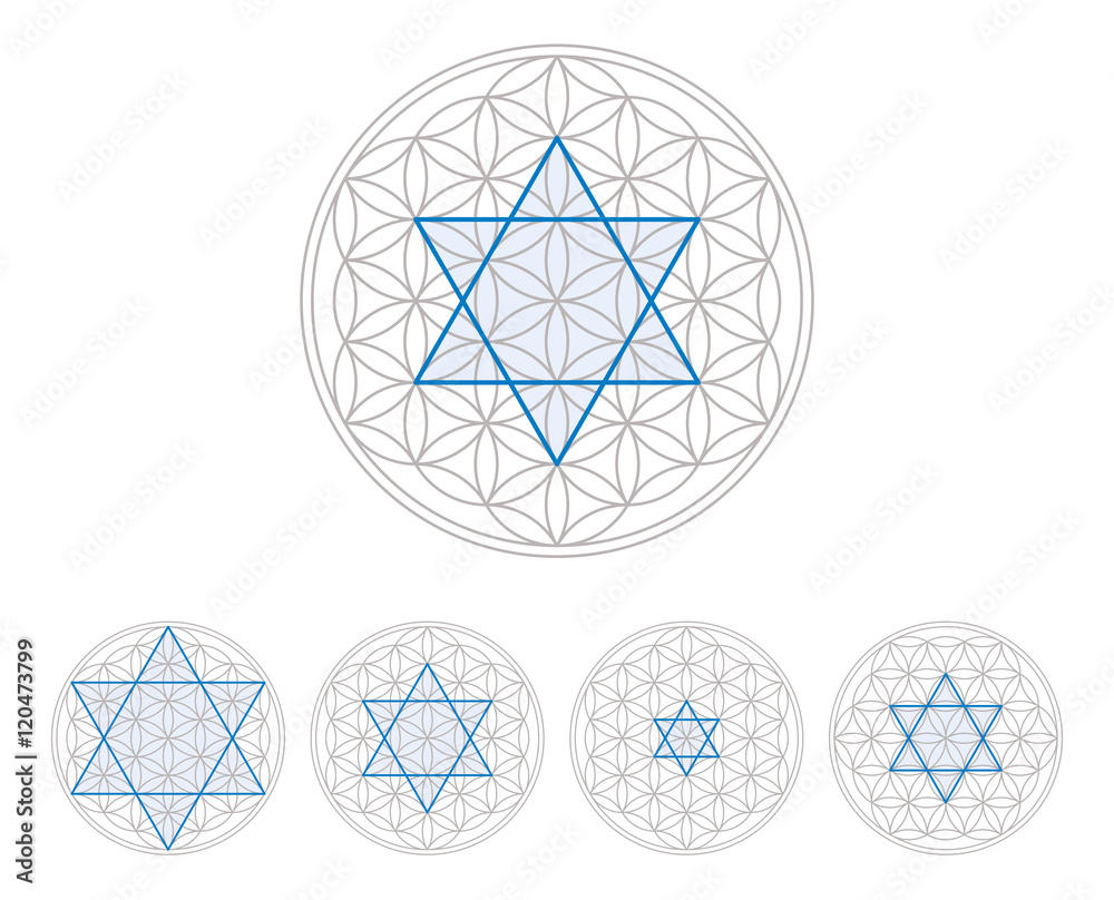 Blue hexagram in Flower of Life, a geometrical figure, composed of ...