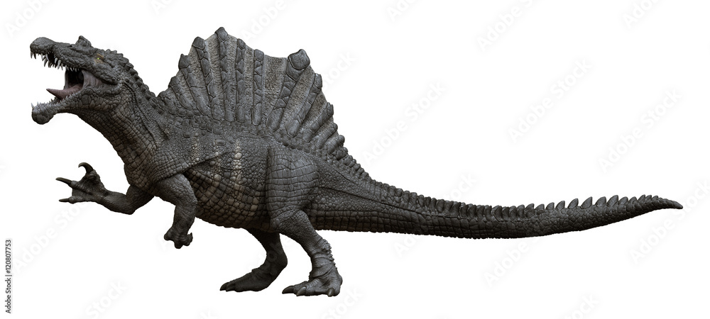 Spinosaurus aegyptiacus 3D render isolated on white background. Stock ...